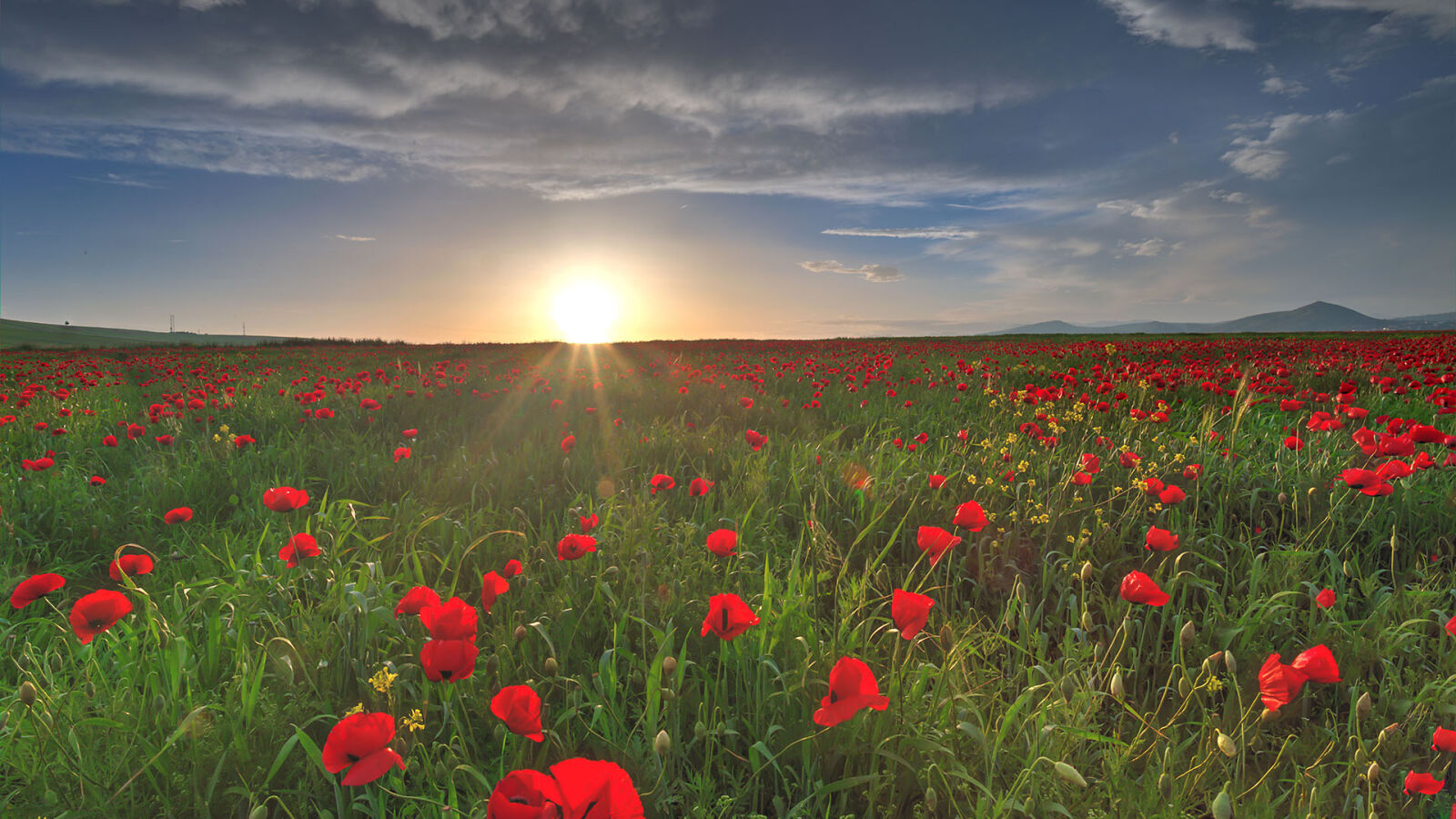 Discover Shamakhi | Azerbaijan.Travel