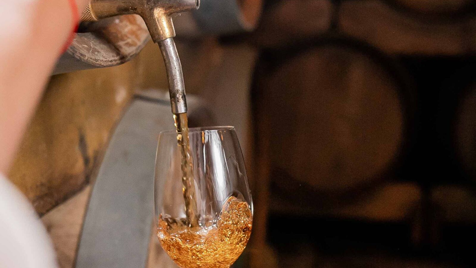 Sheki Sharab Museum history blended with wine | Azerbaijan Travel