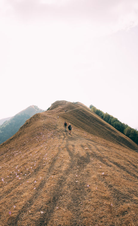 Discover Gakh | Azerbaijan.Travel