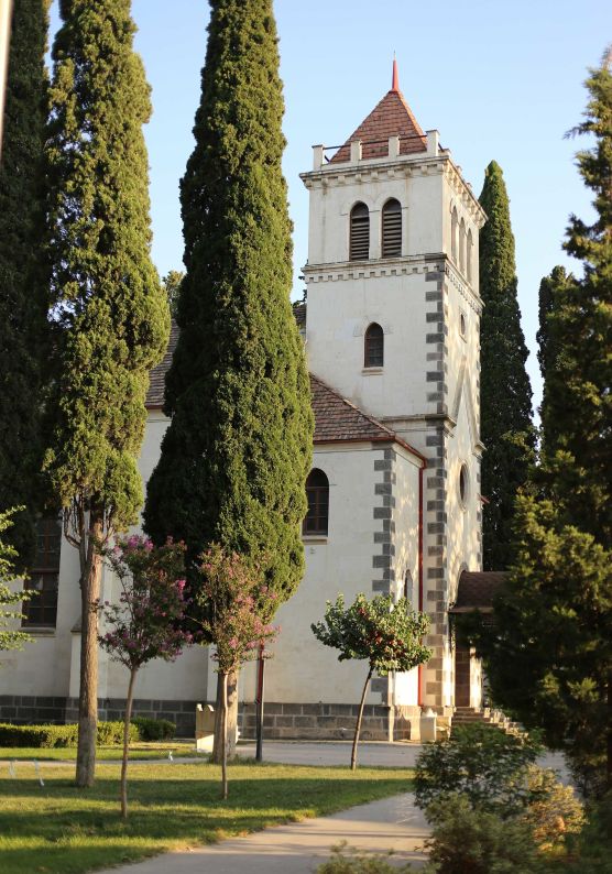 Discover Shamkir | Azerbaijan.Travel