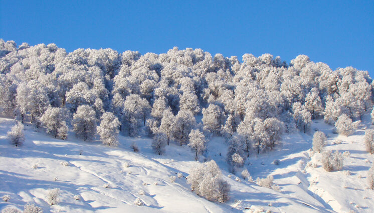 Azerbaijan through the seasons