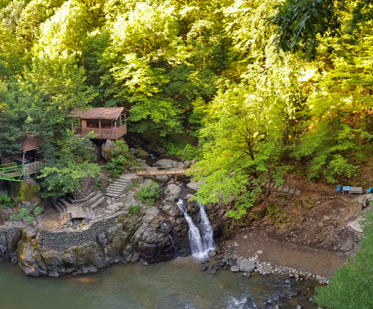 Birdwatching in the Talish Mountains | Azerbaijan.Travel