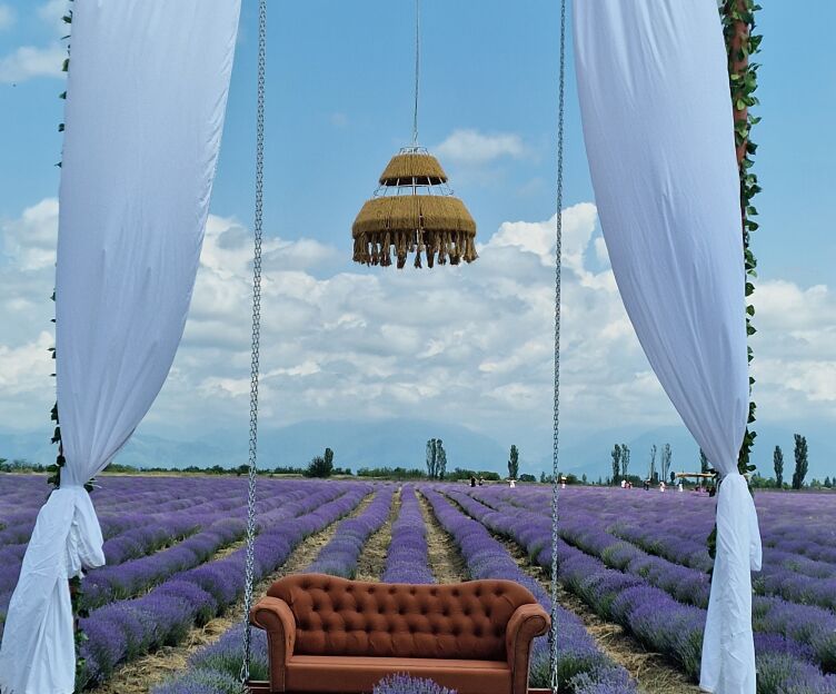 Visit the lavender fields of Gabala | Azerbaijan Travel