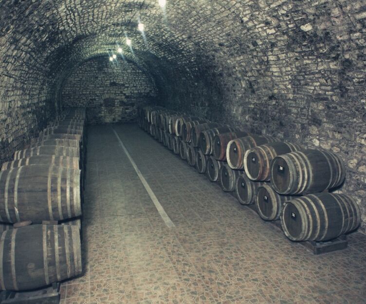 Goygol Winery