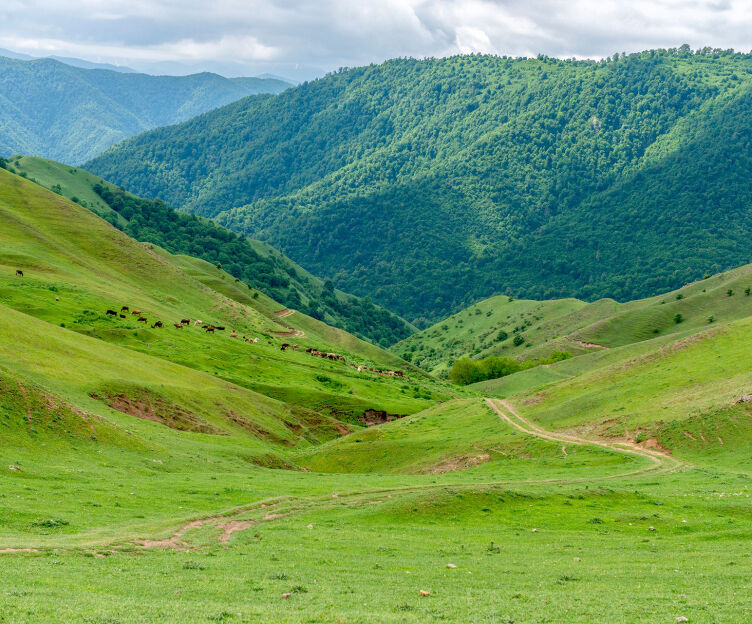 Day tours to learn about Gadabay's history | Azerbaijan Travel