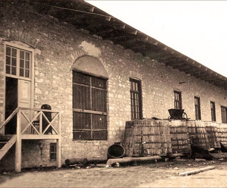 Wine History of Azerbaijan