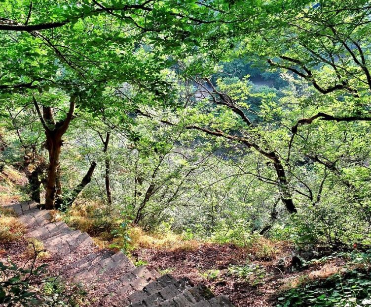 The hot and healing waters of Masalli | Azerbaijan.Travel