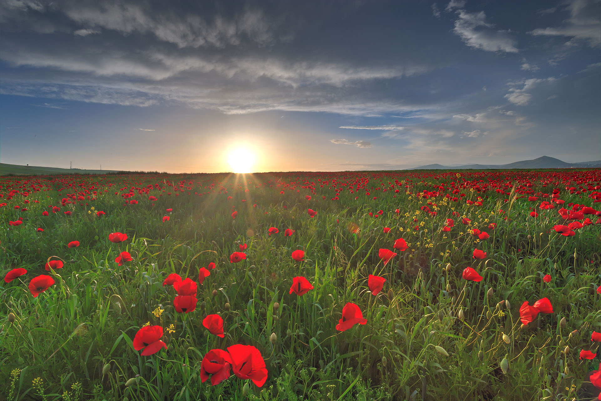 Discover Shamakhi | Azerbaijan.Travel