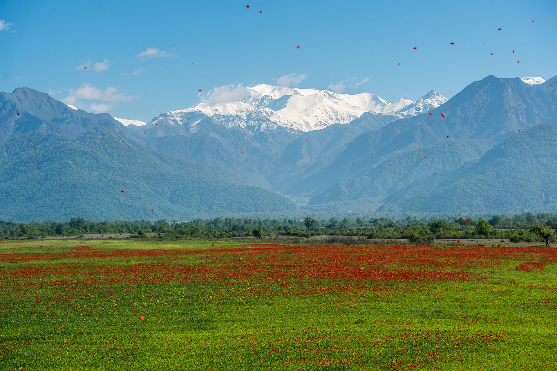 Discover Gabala | Azerbaijan.Travel