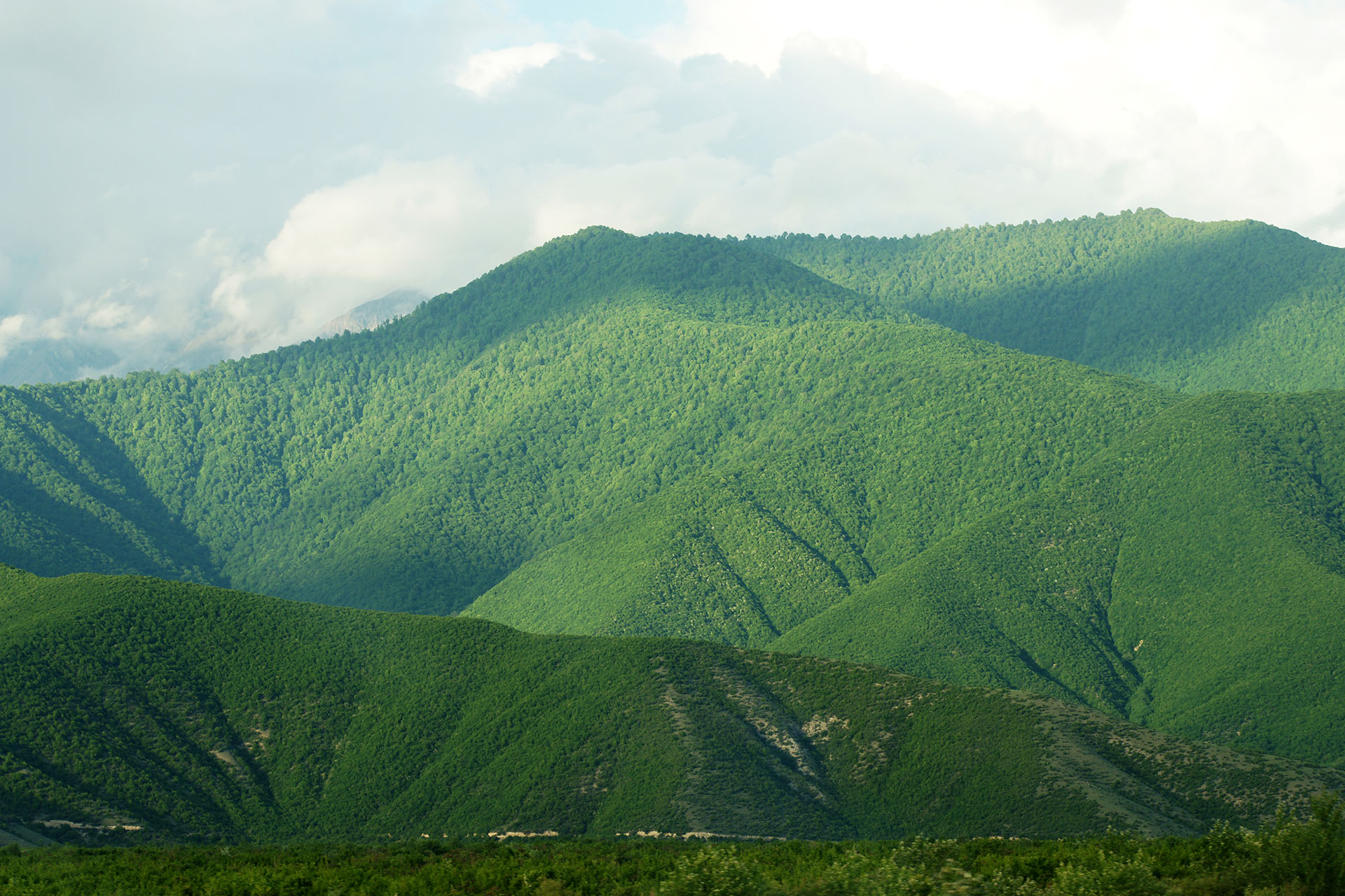 Discover Gakh | Azerbaijan.Travel
